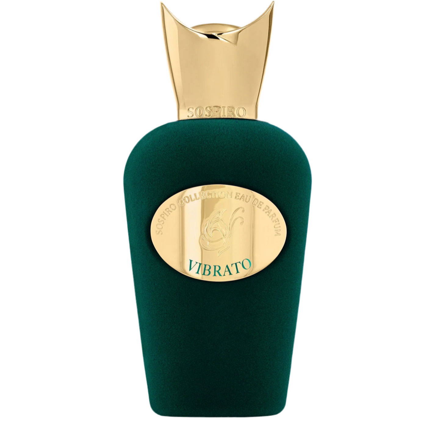 City Rhythm Miami (Sample) – Fragrance Culture